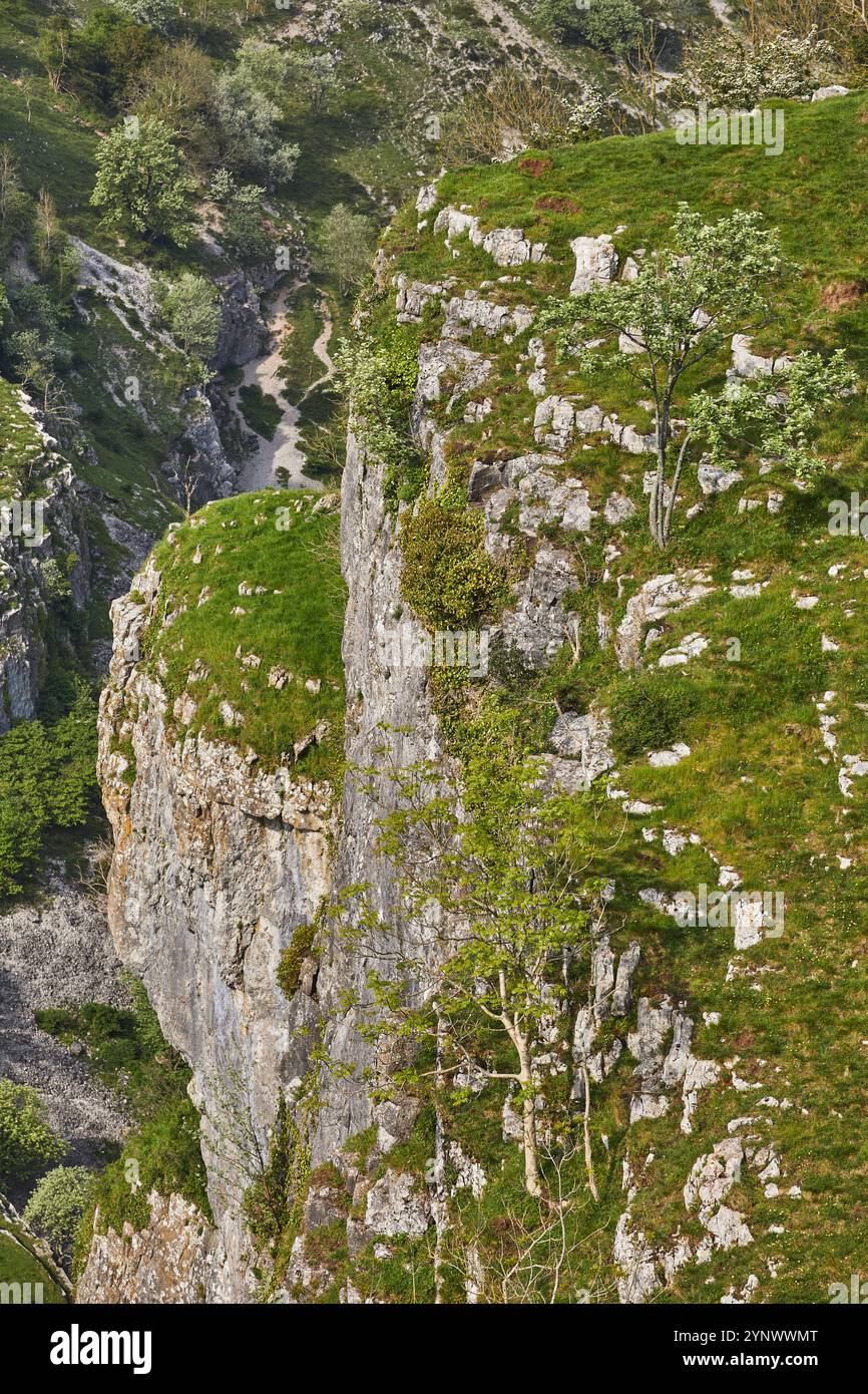 The limestone cliffs of Cheddar Gorge, in the Mendip Hills, Cheddar ...