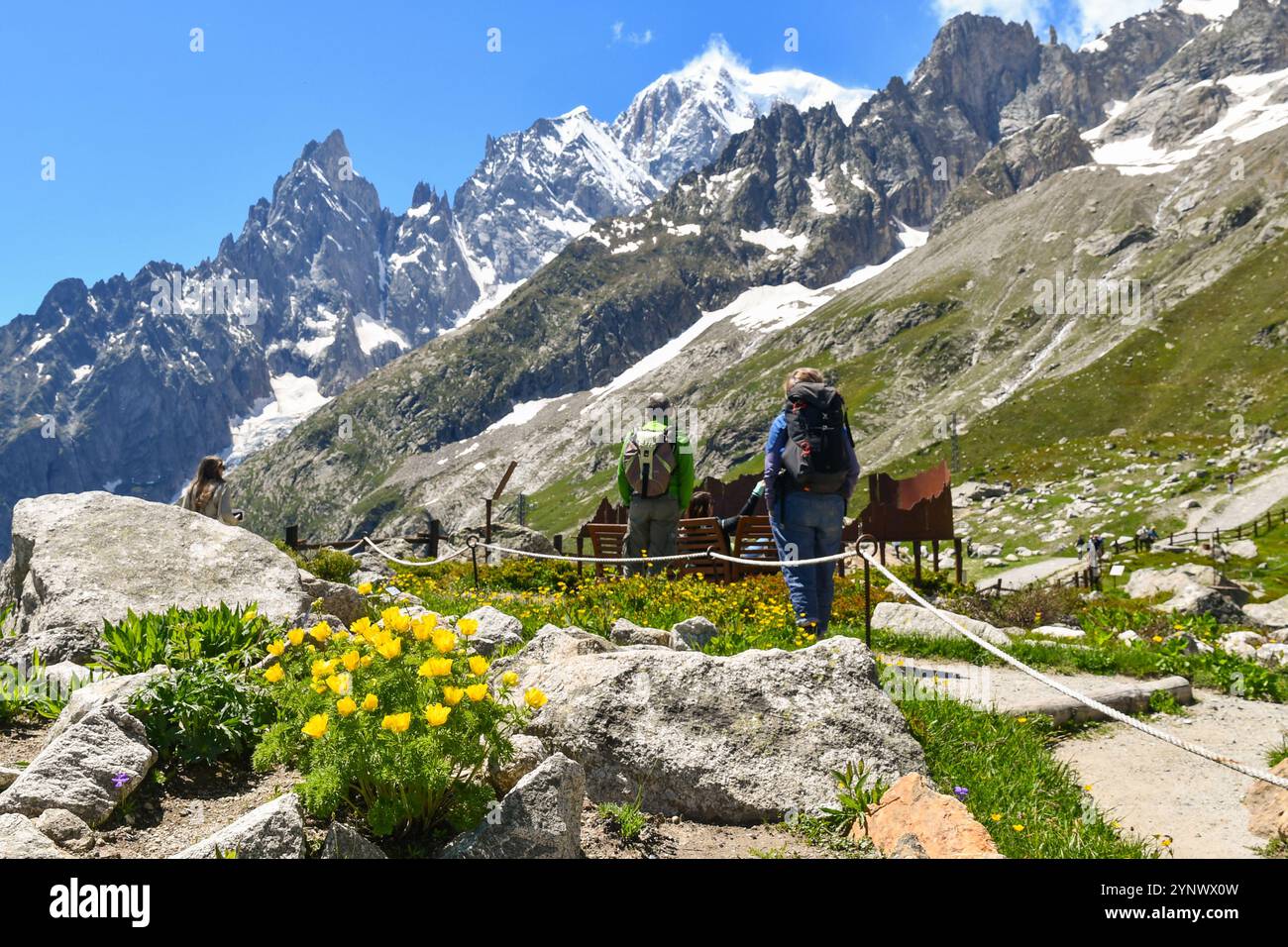 Hikers admiring the Mont Blanc massif from the Alpine Botanical Garden ...