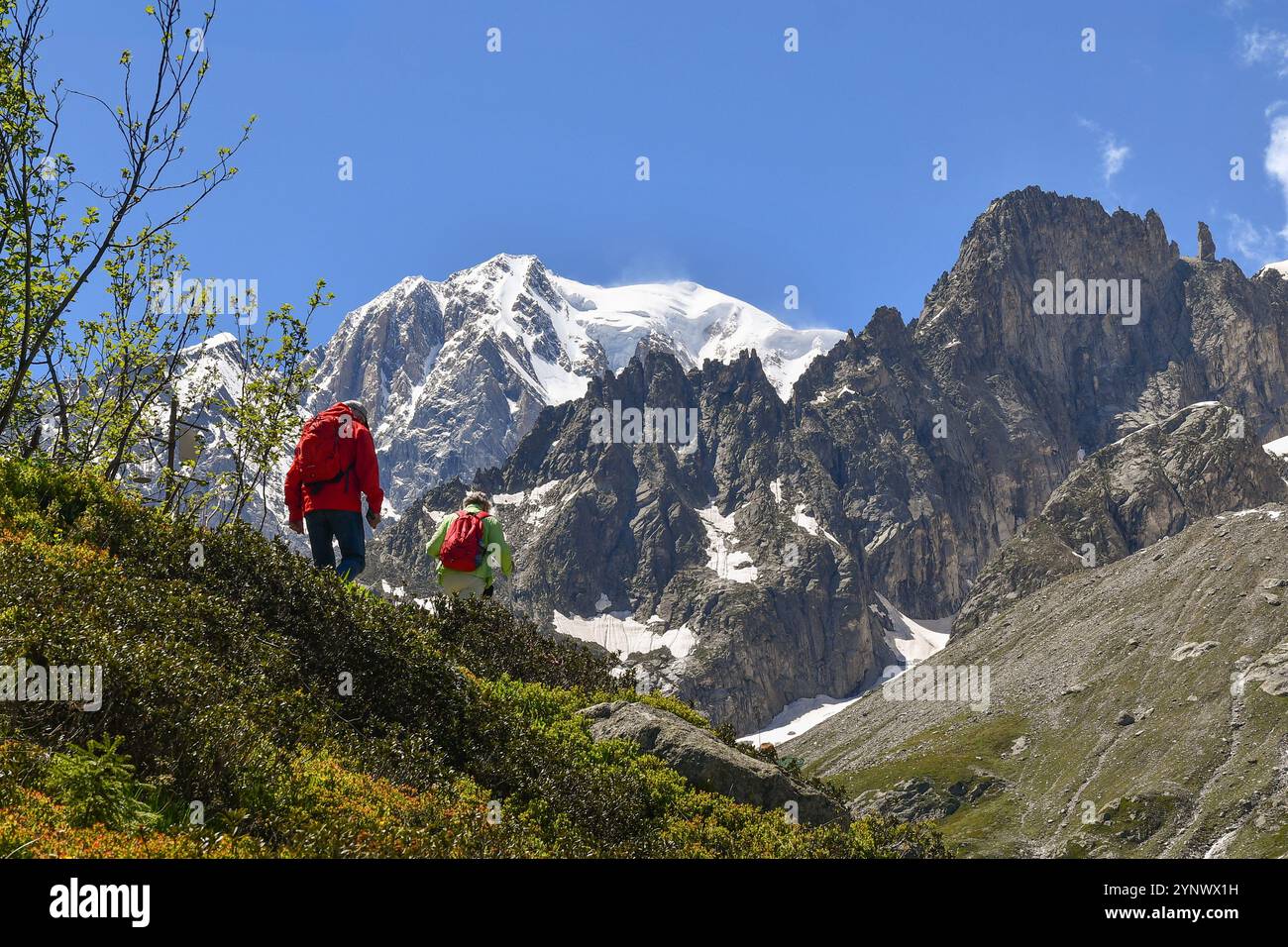 Summit garden hi-res stock photography and images - Alamy
