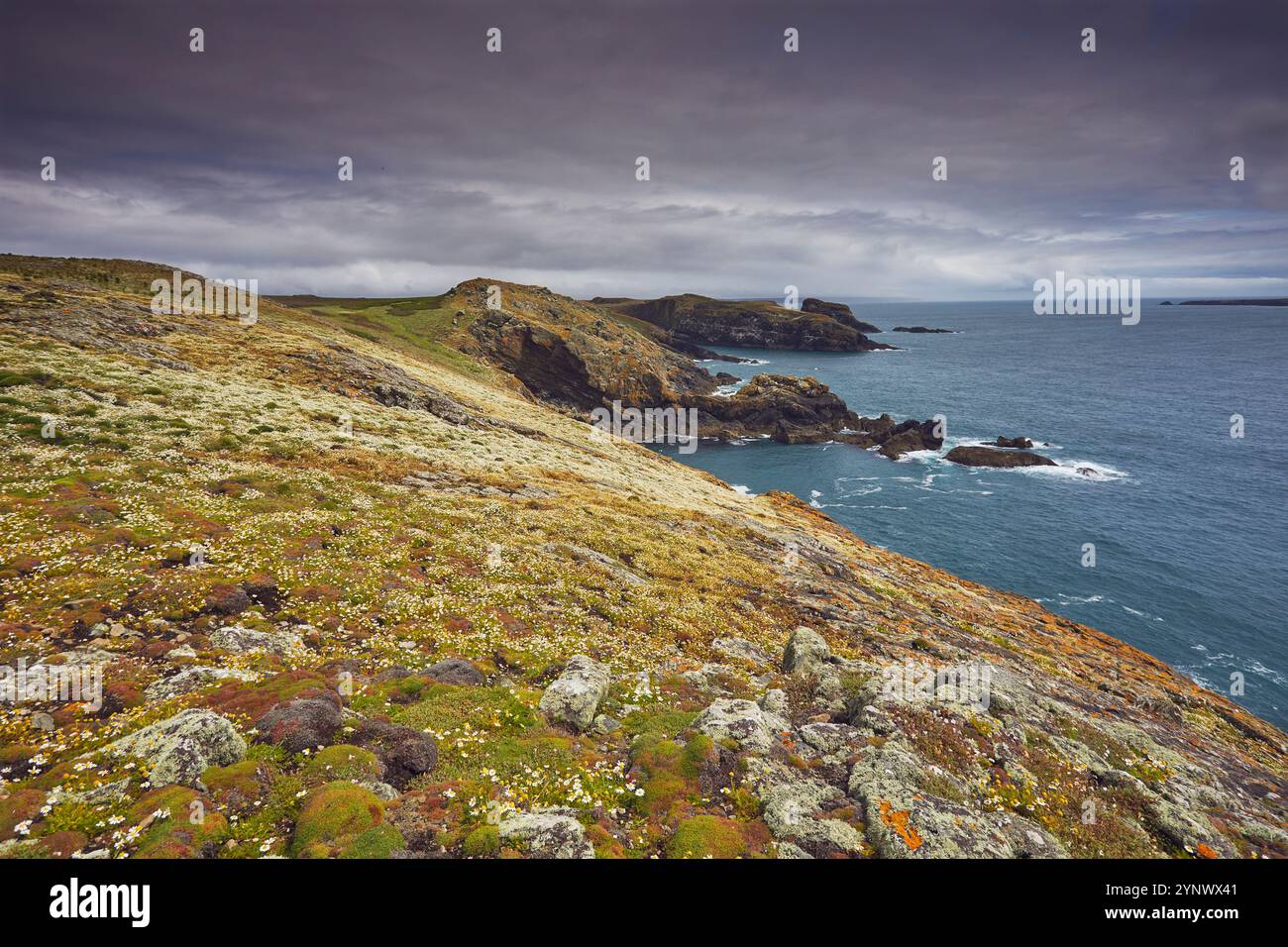 The cliffs at Skomer Head, on the west coast of Skomer Island ...