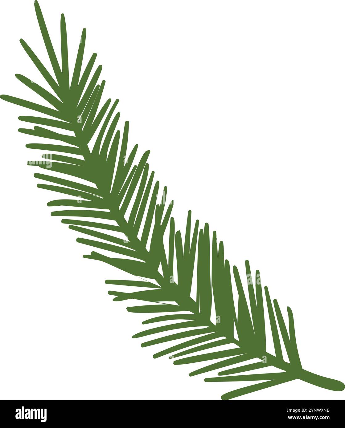 A green leafy branch with a white background Stock Vector Image & Art ...