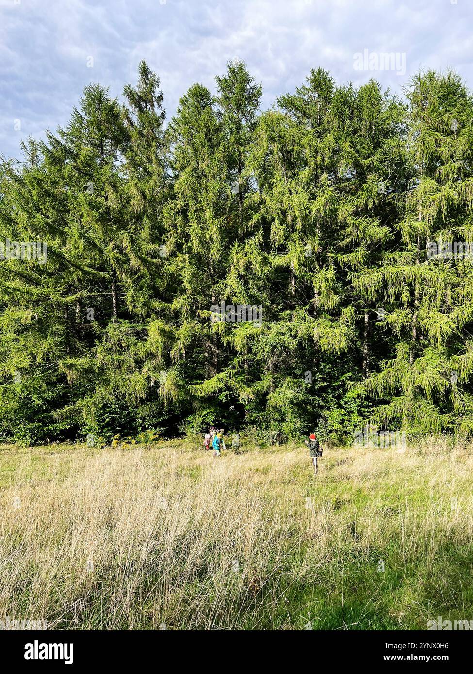 Family enjoys peaceful walk through hi-res stock photography and images ...