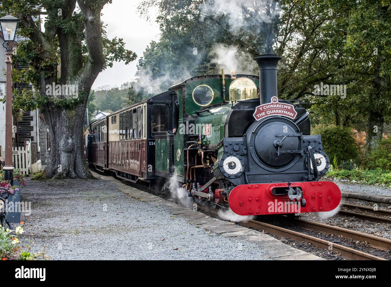 The Great Little Trains of Wales Stock Photo - Alamy