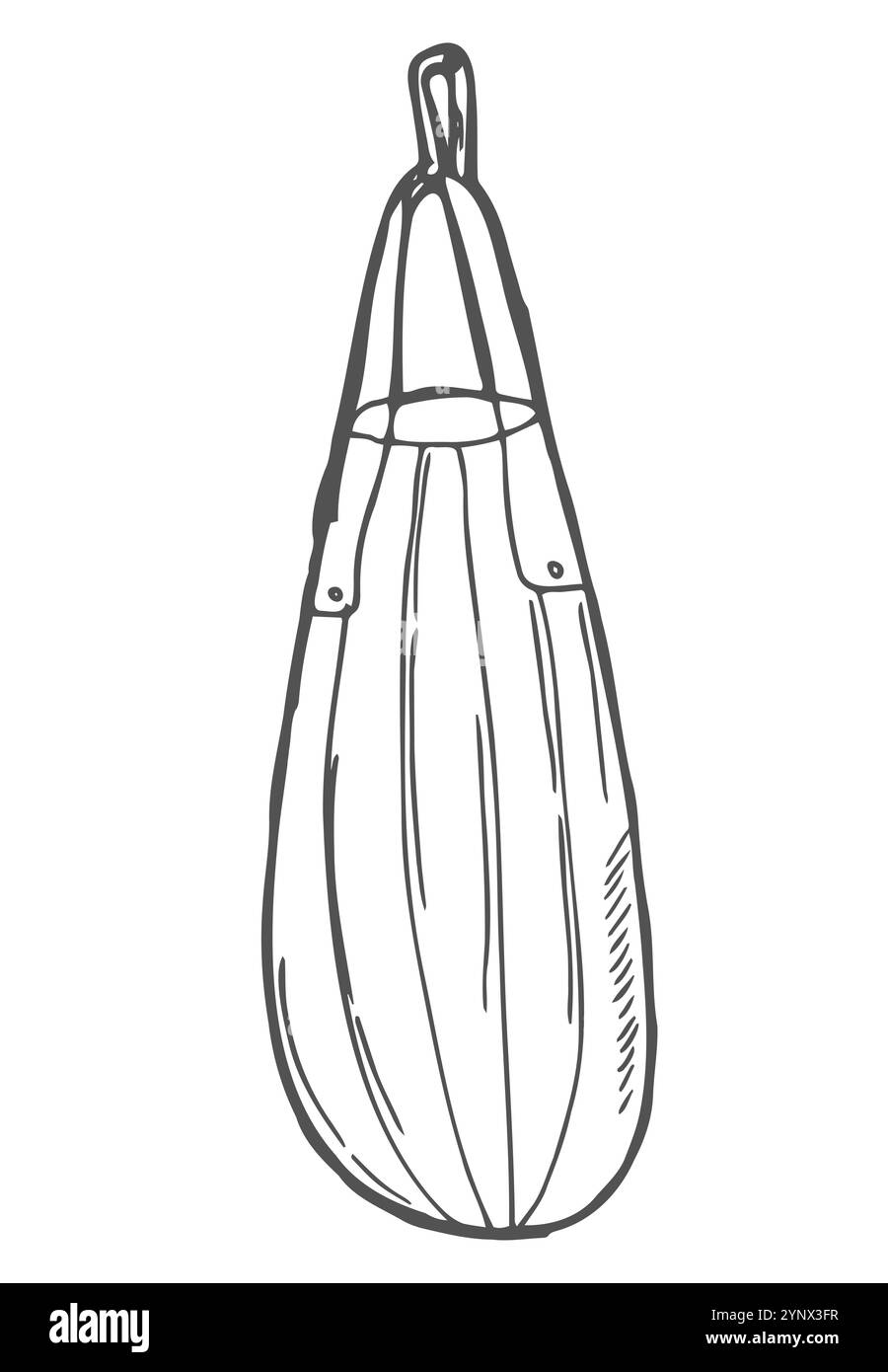 Heavy Boxing Bag. Ink black and white doodle drawing in woodcut style ...