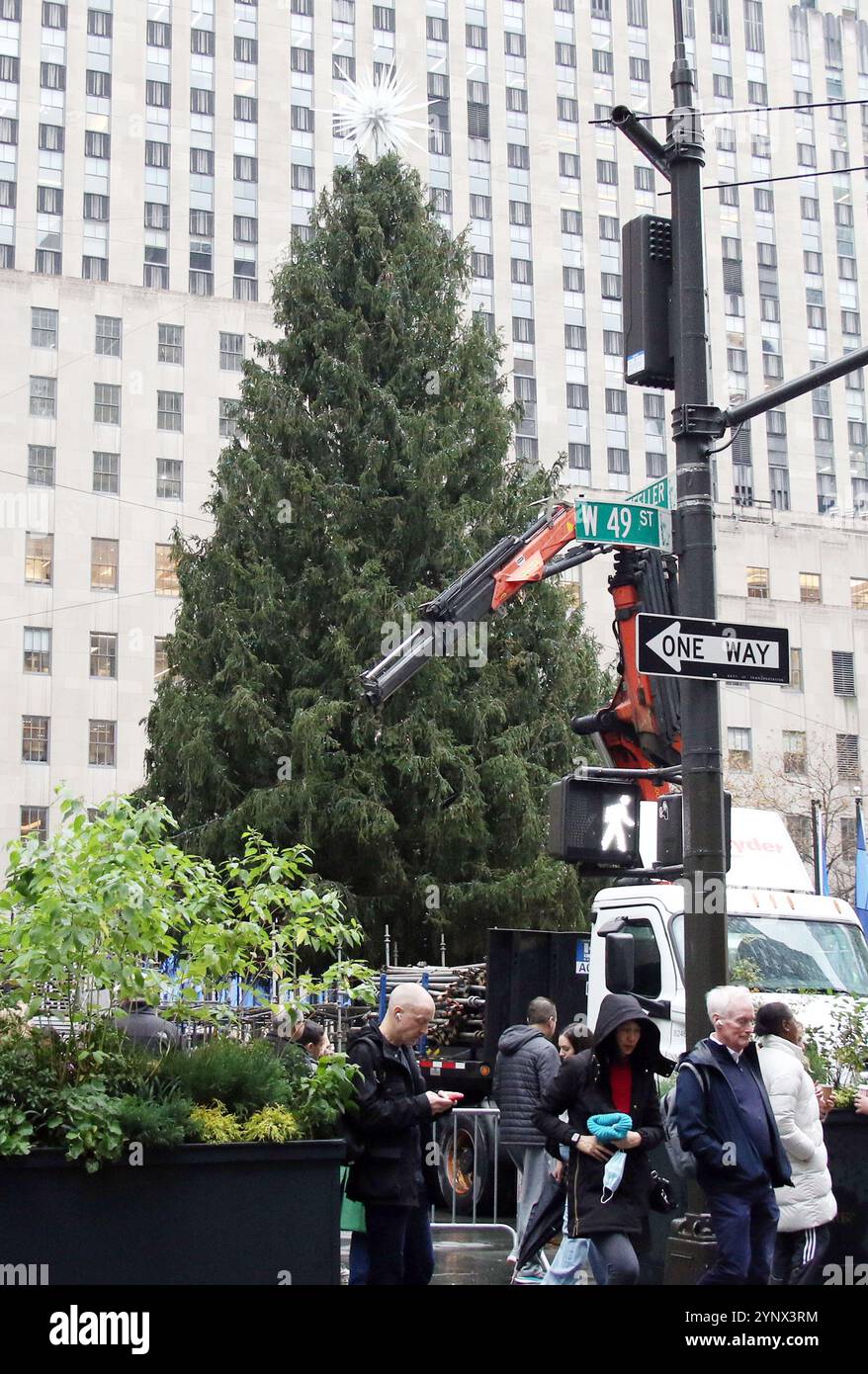New York, NY, USA. 26th Nov, 2024. View of the Christmas Tree at ...
