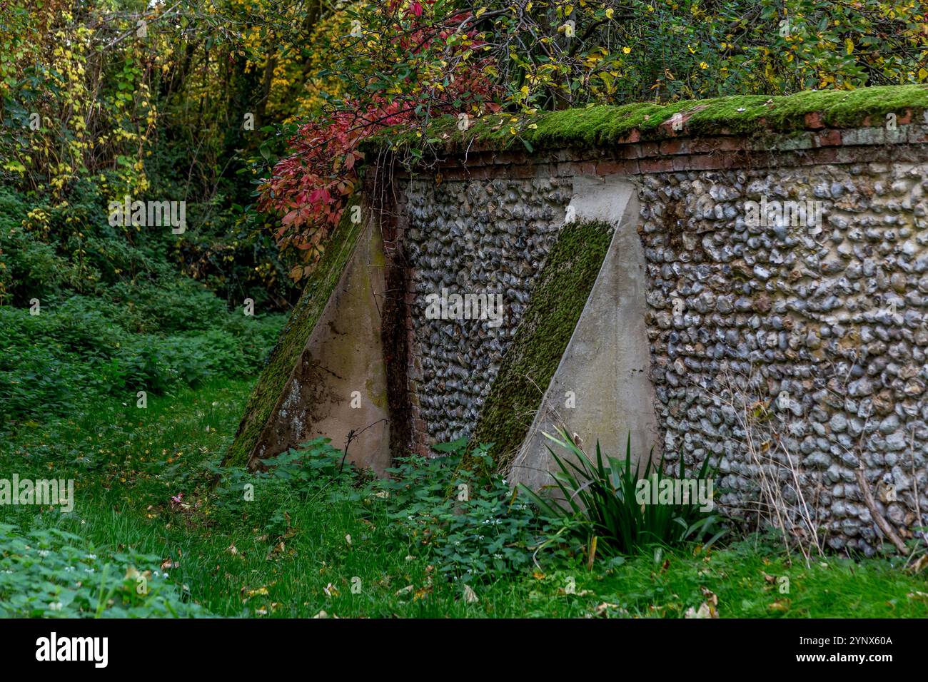 Old beetley hi-res stock photography and images - Alamy