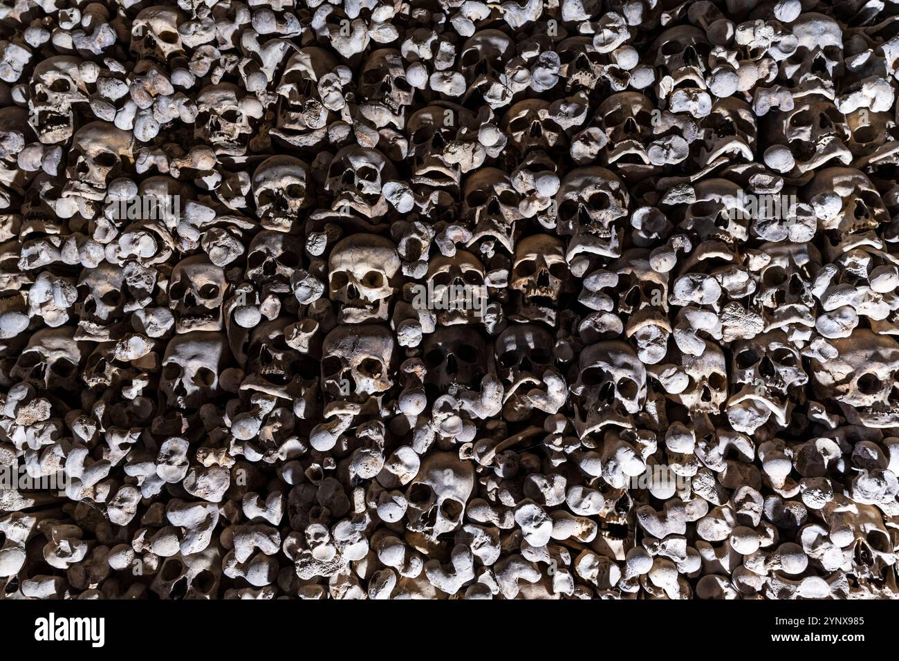 Ossuary with skeletons from the 13th to the 18th century, Pre ...