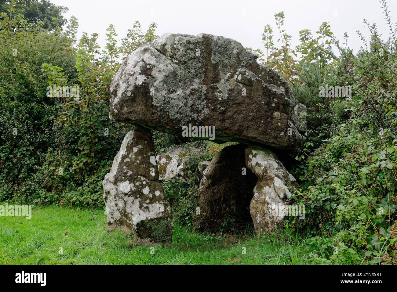 Orthostat hi-res stock photography and images - Alamy