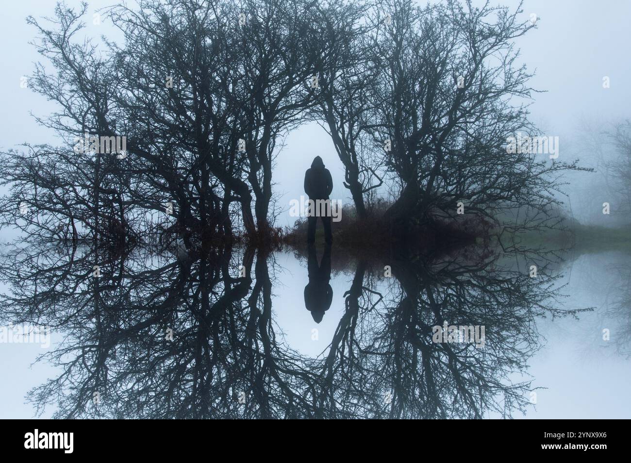 Silhouette dark figure reflection hi-res stock photography and images ...