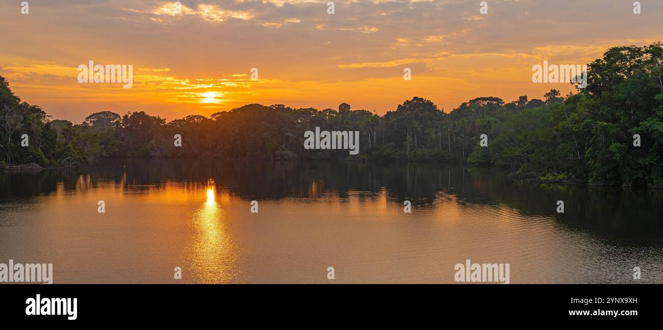 Sunrise panorama in Amazon River Rainforest comprising countries of ...