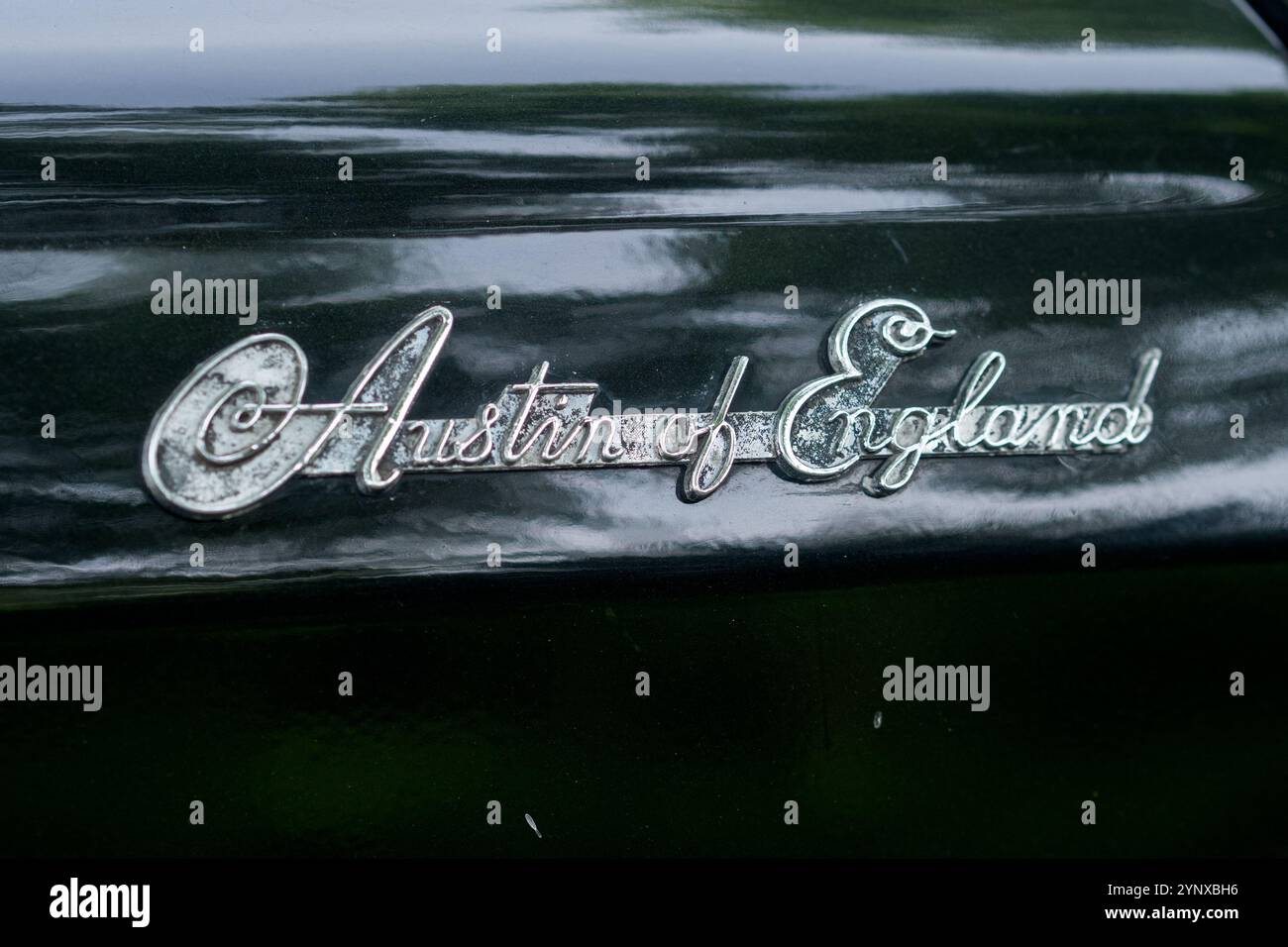 YPRES, BELGIUM - MAY 25 2014: Austin chrome logo text on vintage A40 ...