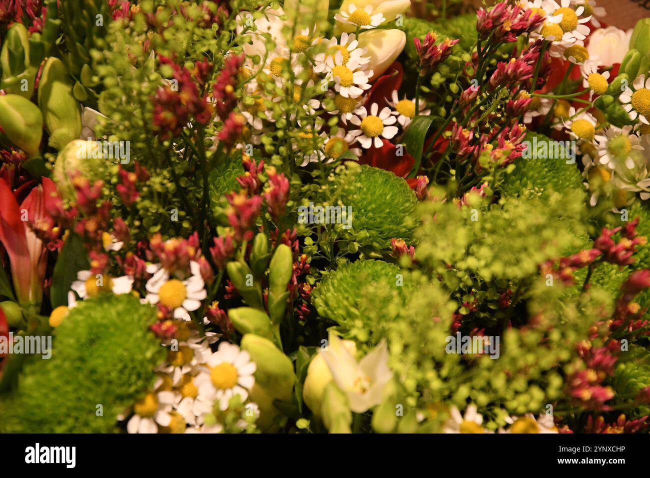 Copenhagen/ Denmark/27 Nov. 2024/ Flower vendor display flower ...