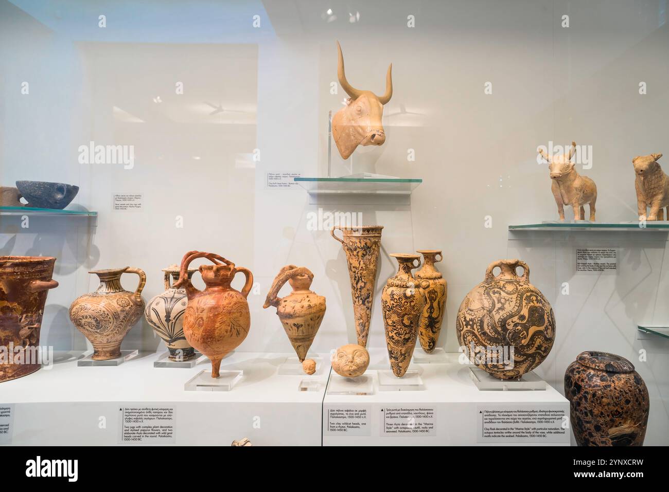 Crete museum, view of a display showing a clay bull's head and ...