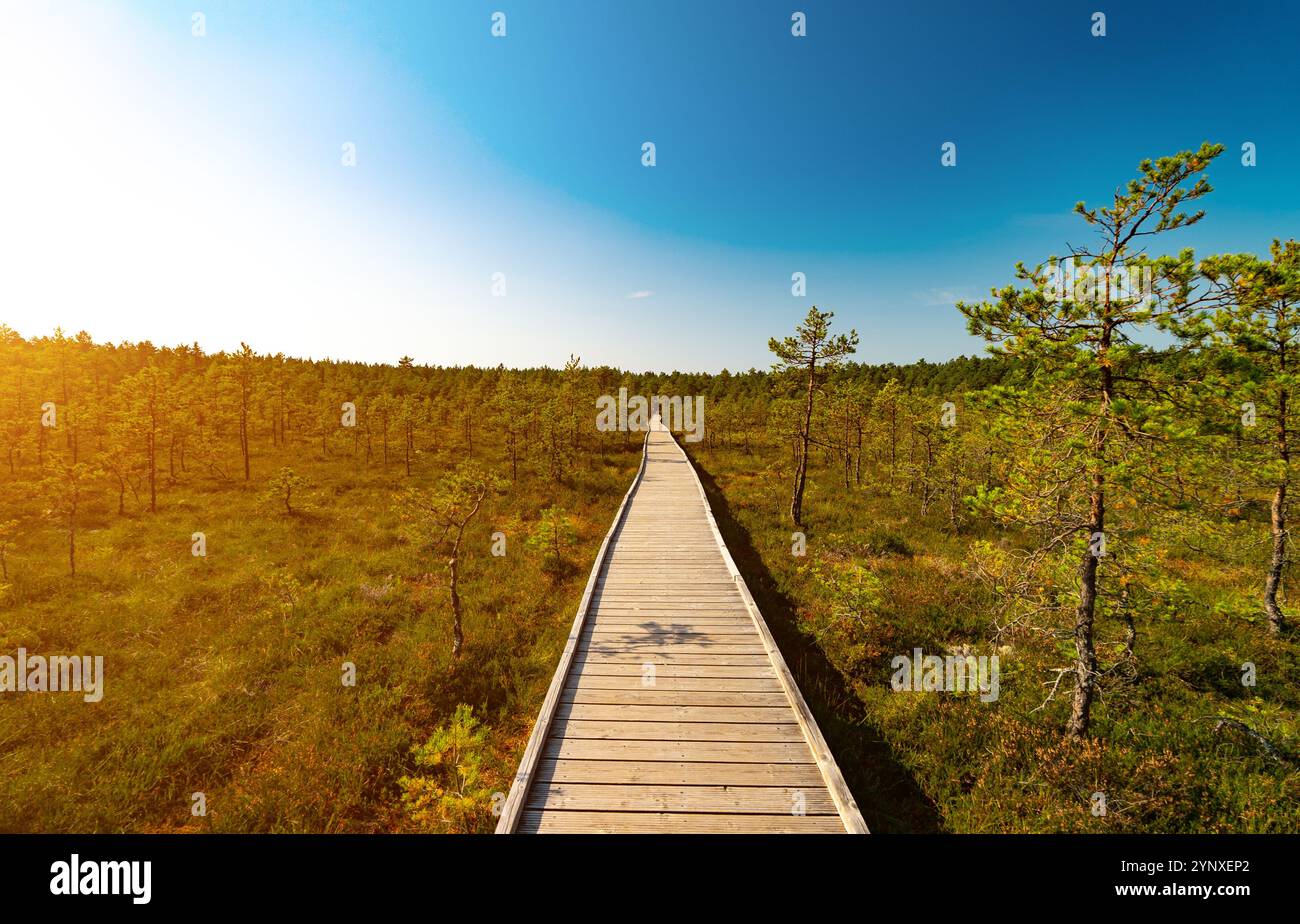 Wooden platform on the Viru Raba swamp lake in Estonia Stock Photo - Alamy