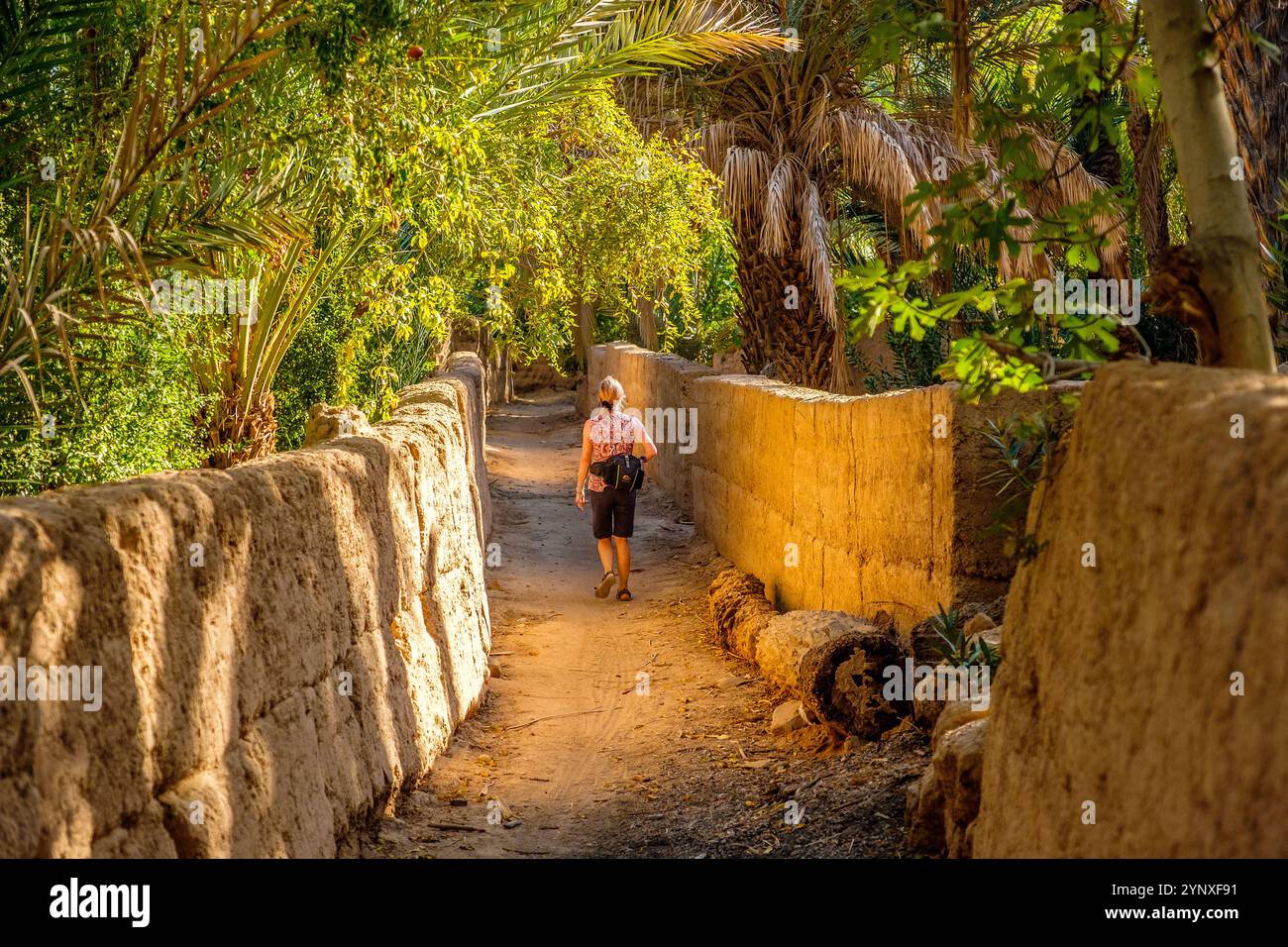 Female tourist walking In the Palmerie ( palm grove ) at the oasis town ...