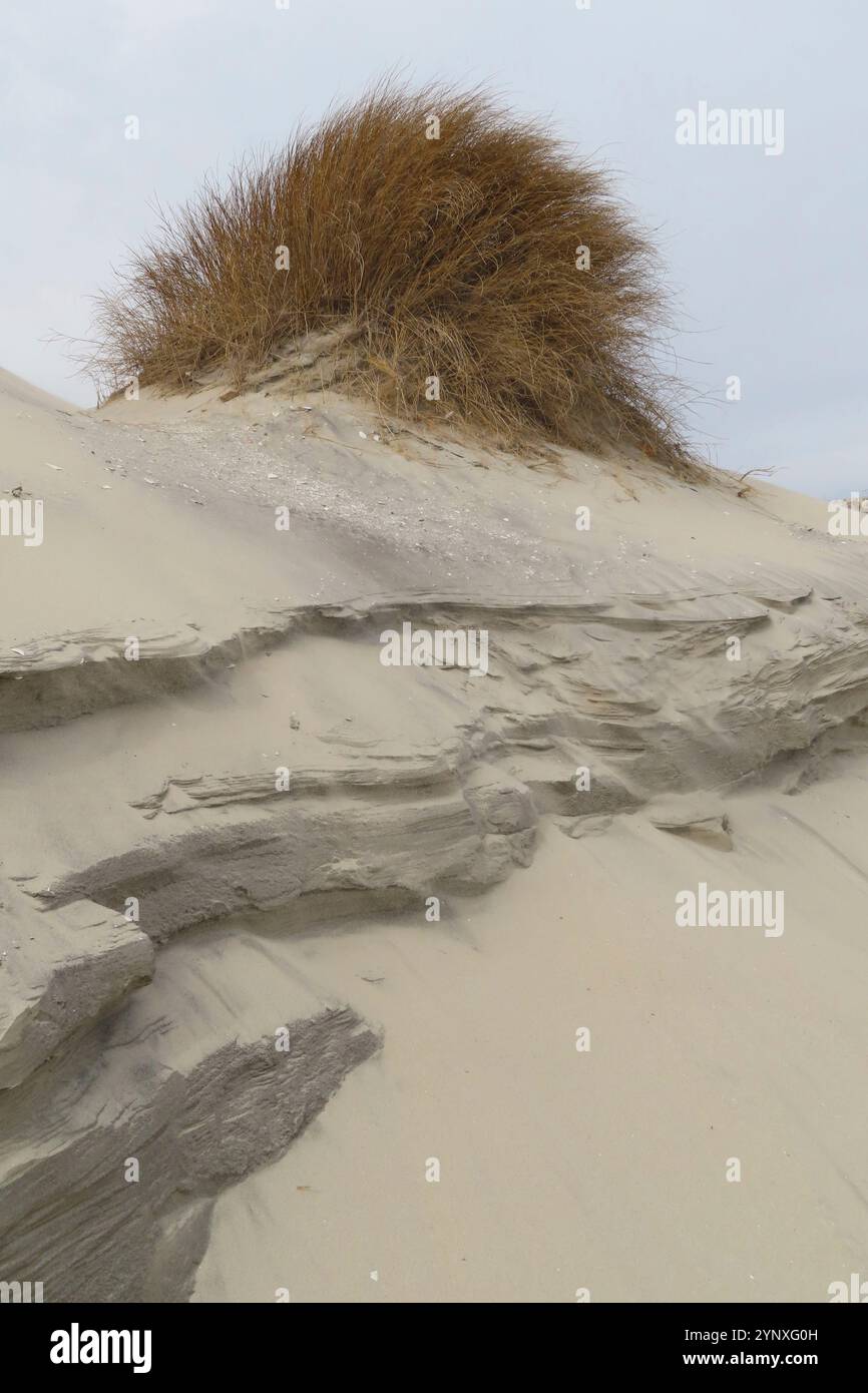 This Feb. 24, 2023 photo shows severe erosion along the beachfront in ...