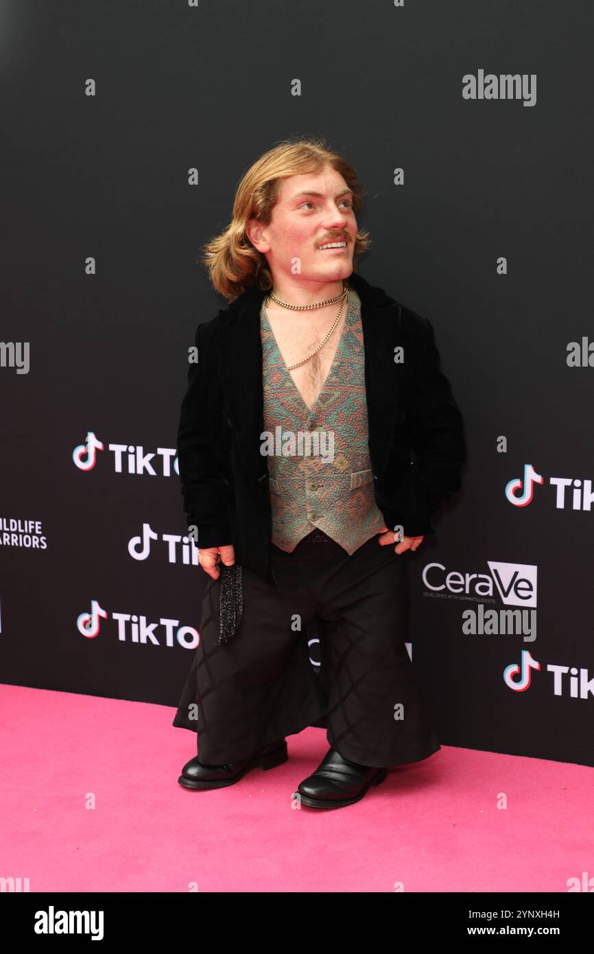 Sydney, Australia. 27th November 2024. James Chappo attends the TikTok ...