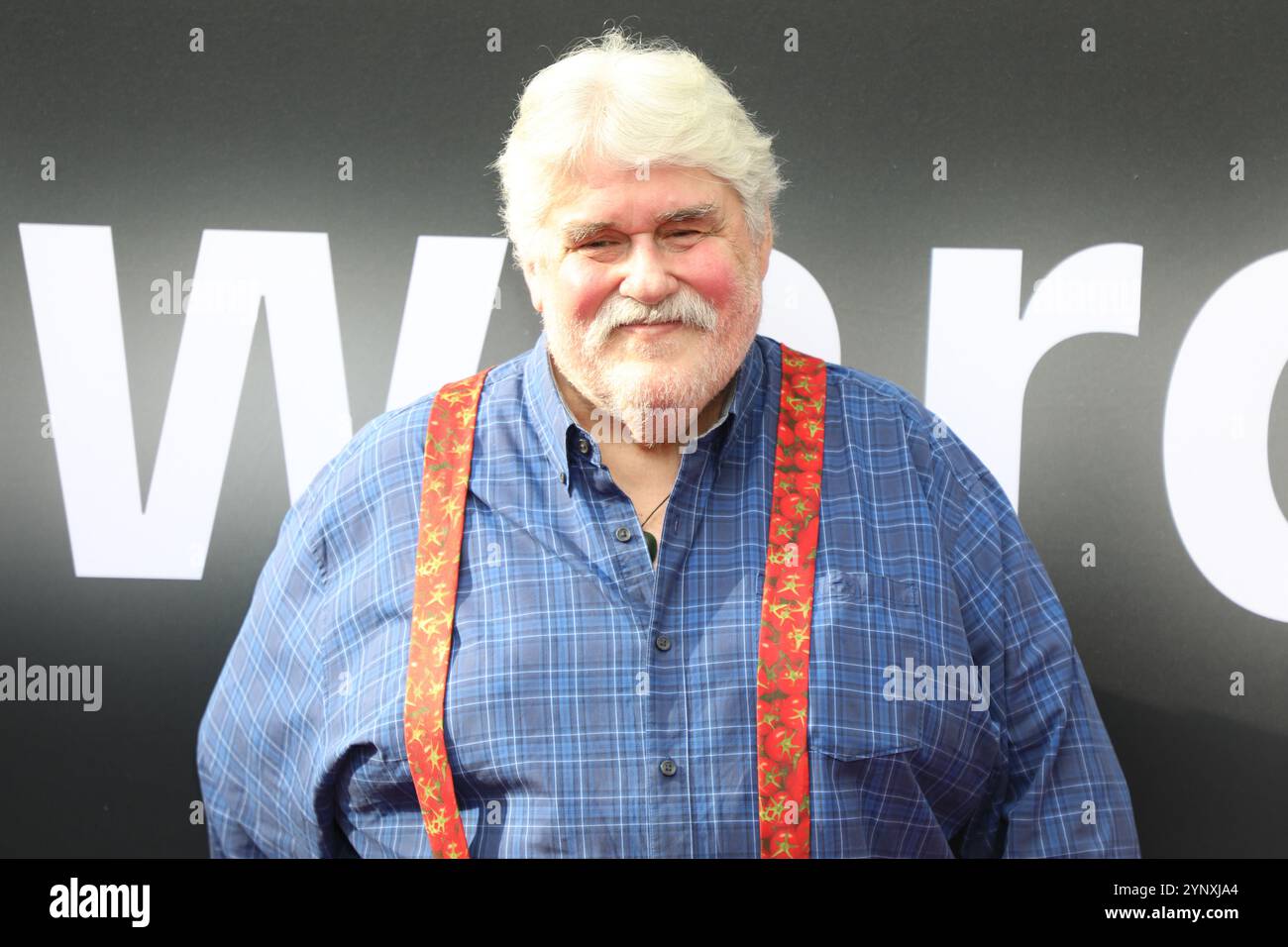 Sydney, Australia. 27th November 2024. Iain Hewitson attends the TikTok ...