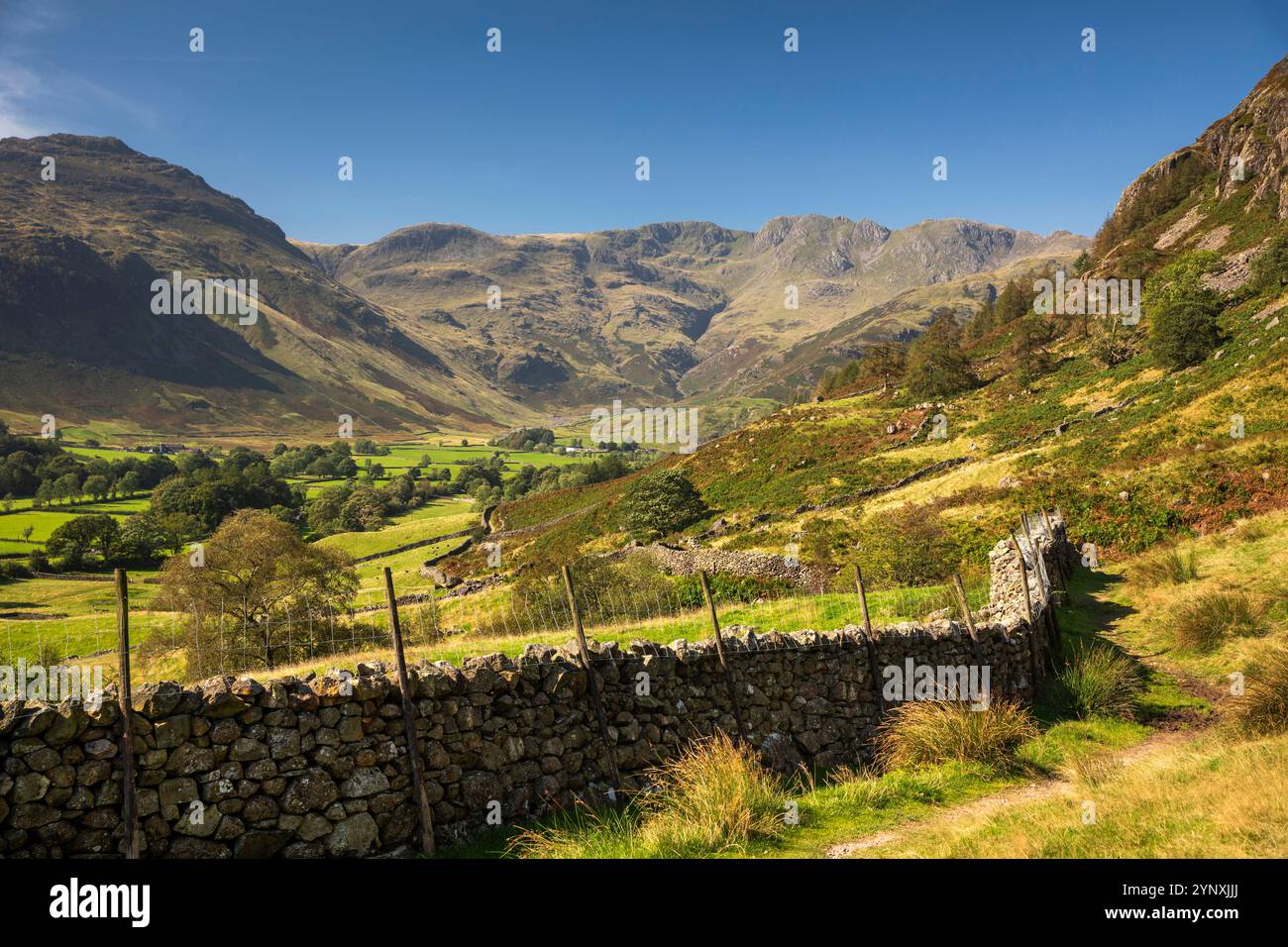 UK, England, Cumbria, Langdale, Mickleden and Oxendale, from path up to ...