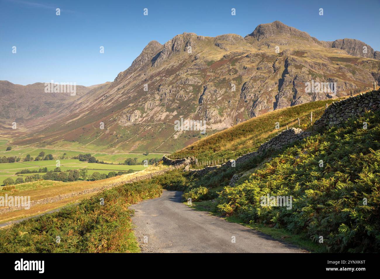 UK, England, Cumbria, Langdale Pikes, from road below Side Pike Stock ...
