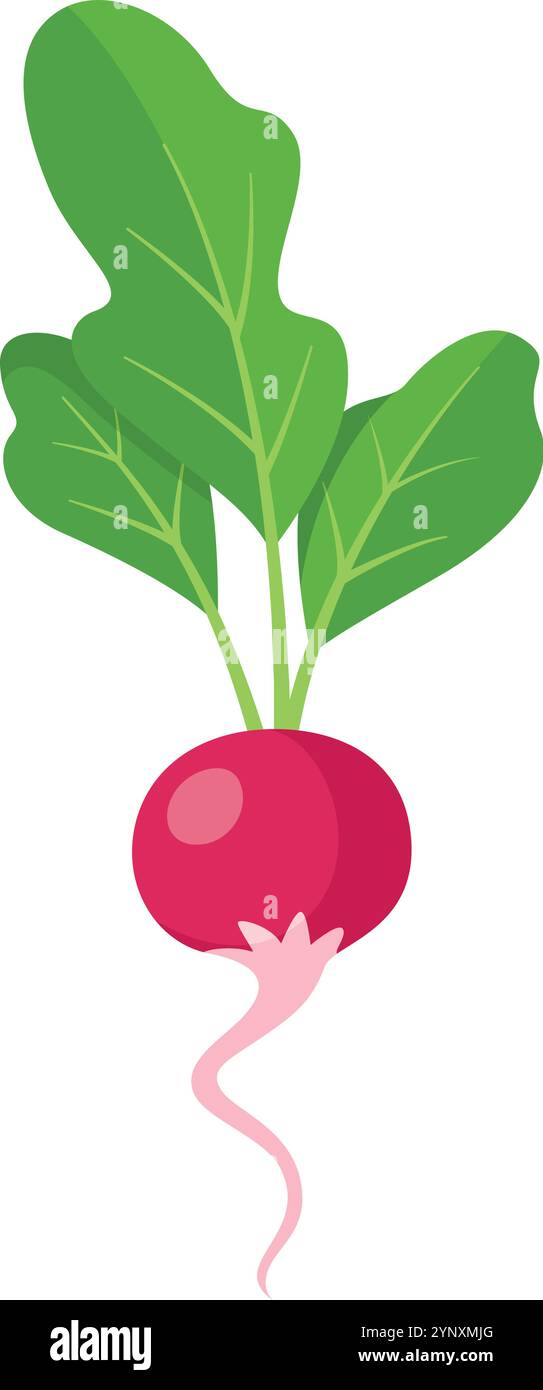 A cartoon drawing of a radish with a stem. The radish is the main focus ...