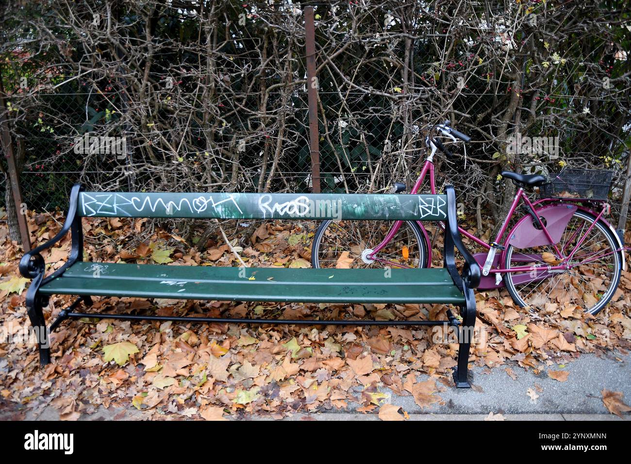 Copenhagen/ DenmarK/27 Nov.2024/ rain fall weather and folour ful fall ...