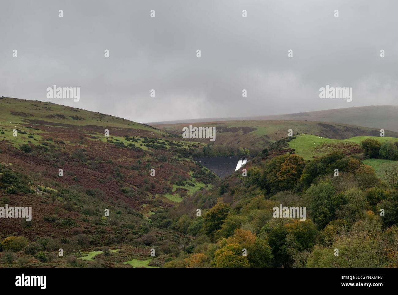 Meldon valley hi-res stock photography and images - Alamy