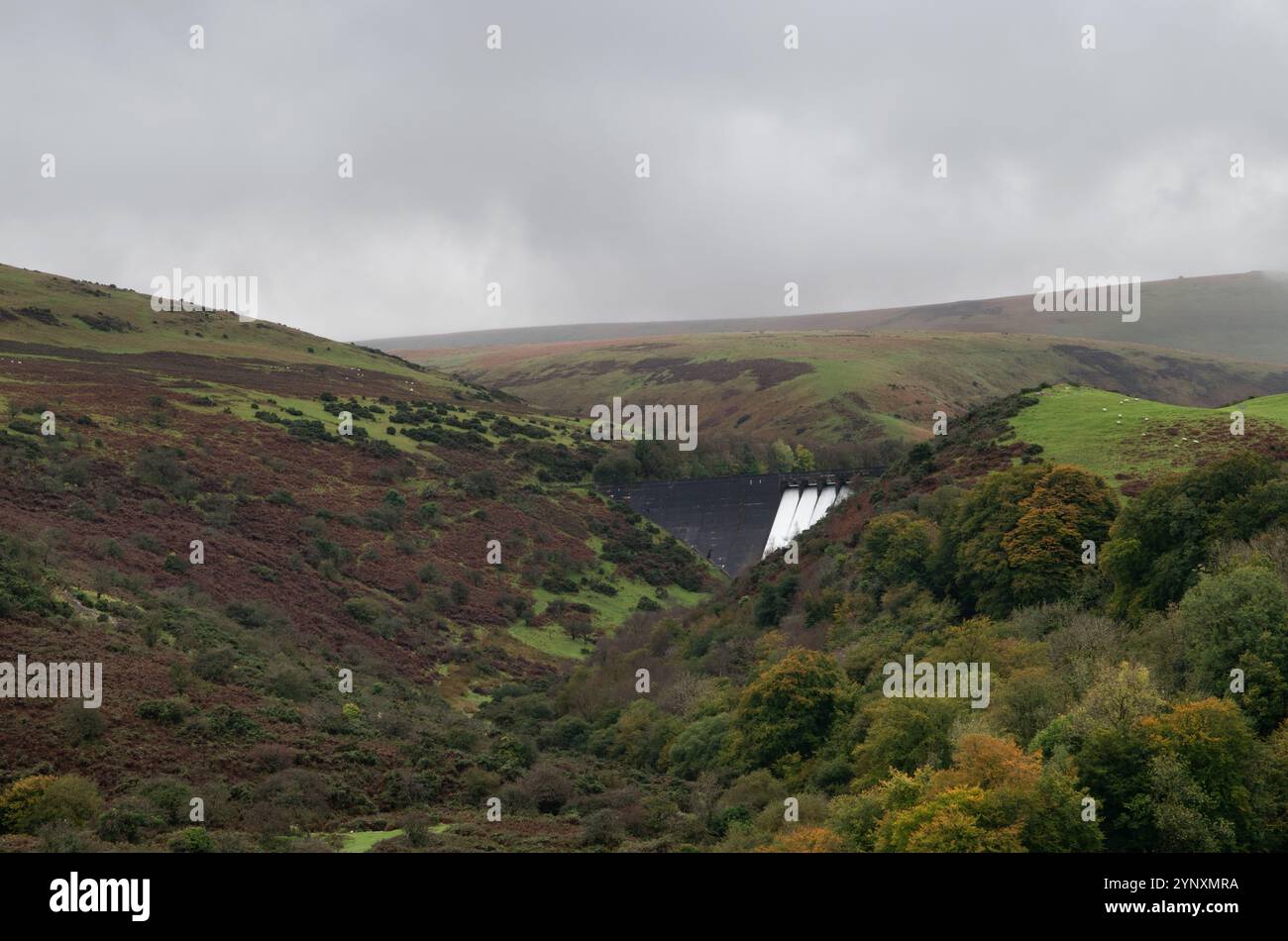 Meldon common hi-res stock photography and images - Alamy