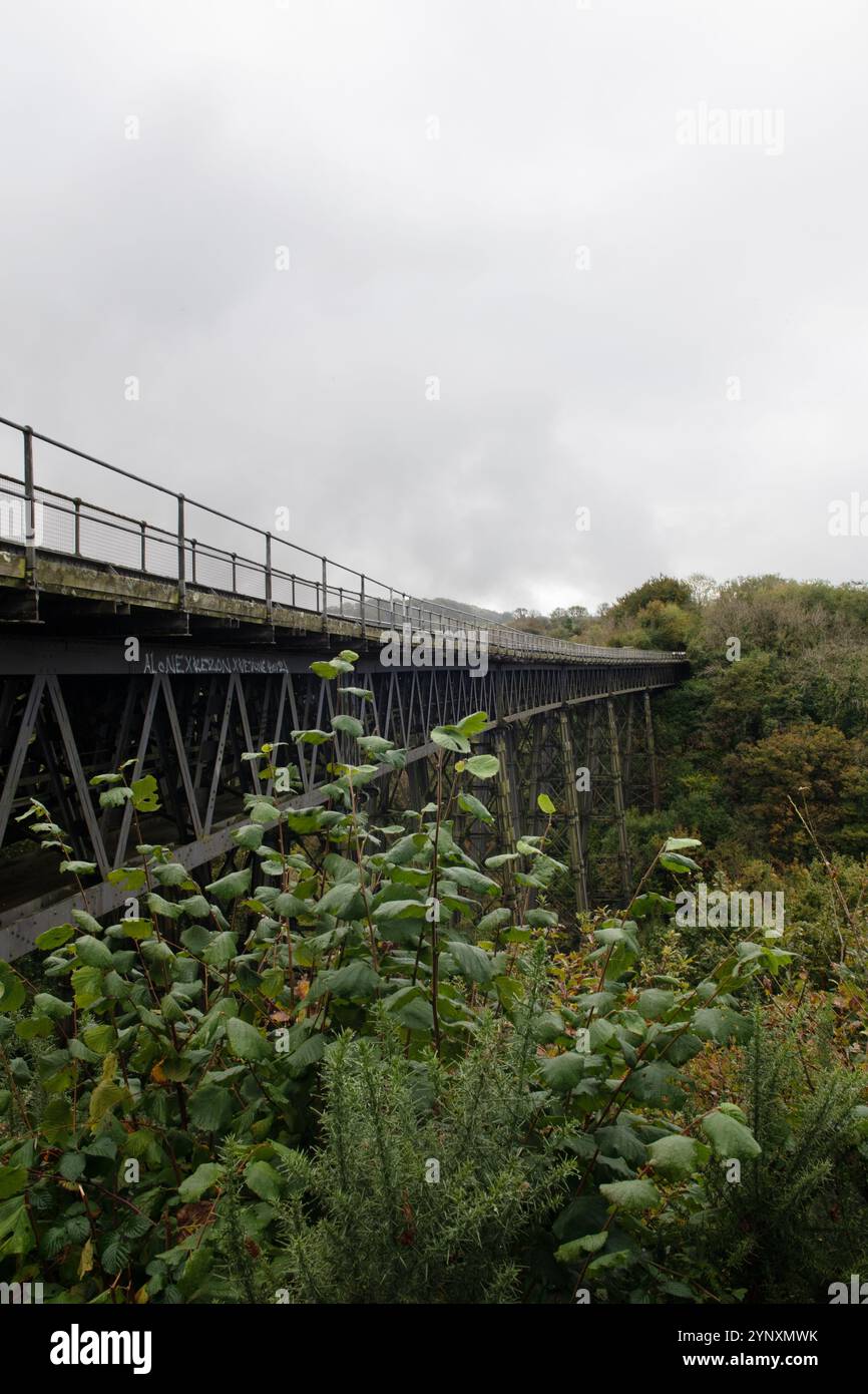 Meldon Viaduct, one of only two surviving wrought iron viaducts in the ...