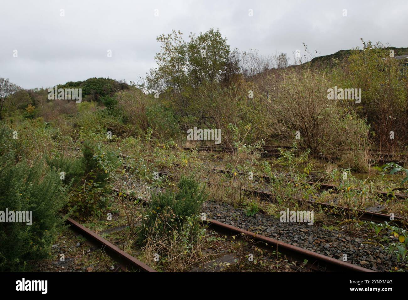 Derelict railway sidings at the abandoned Meldon Quarry, Devon, England ...