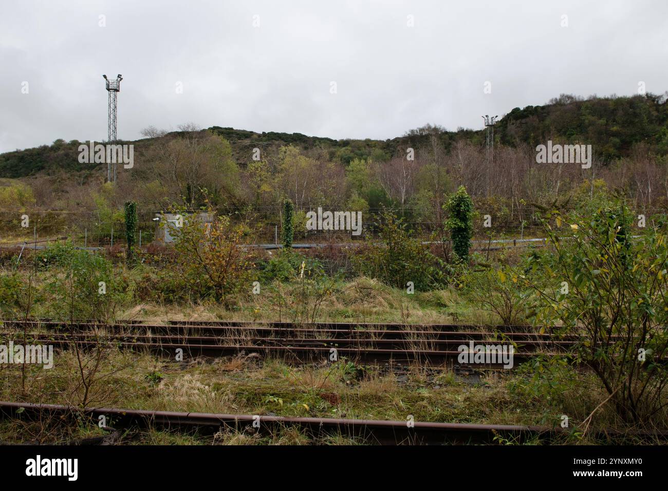 Derelict railway sidings at the abandoned Meldon Quarry, Devon, England ...