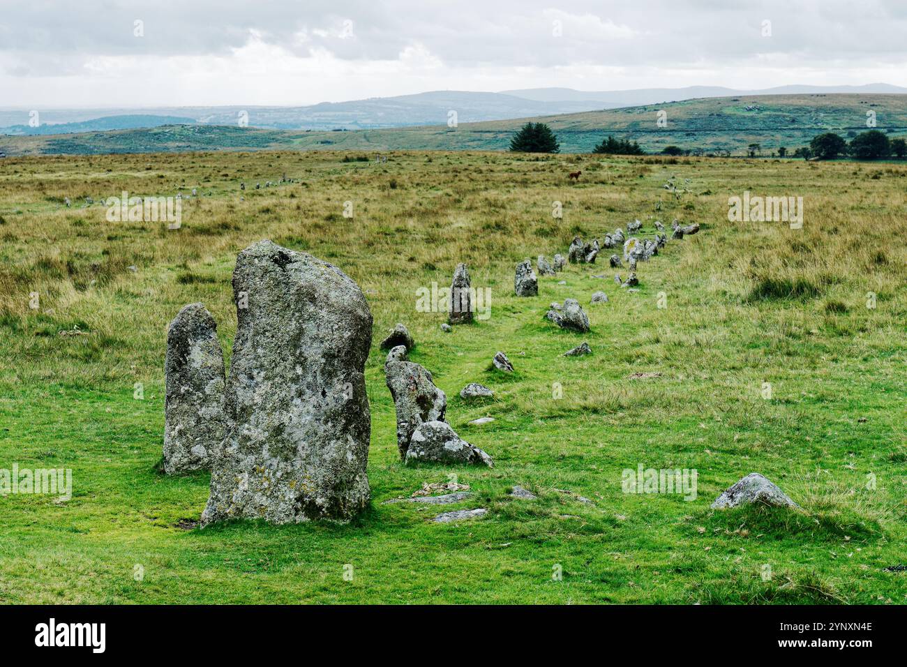 Merrivale stone rows. Prehistoric Neolithic 3000 – 2300 BC site on ...