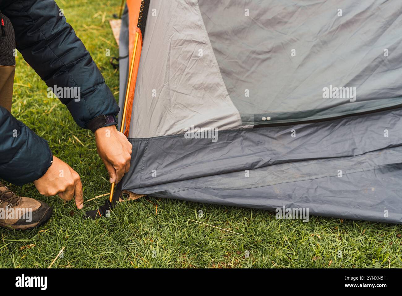 Man's hands setting up an orange tent on the green grass illuminated by ...