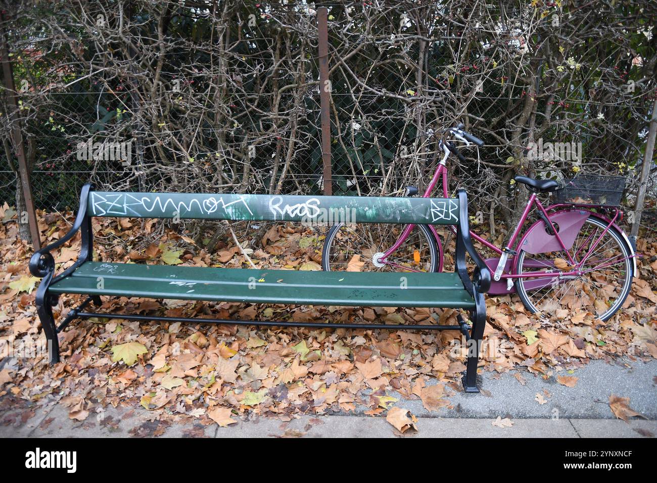 Copenhagen/ DenmarK/27 Nov.2024/ rain fall weather and folour ful fall ...