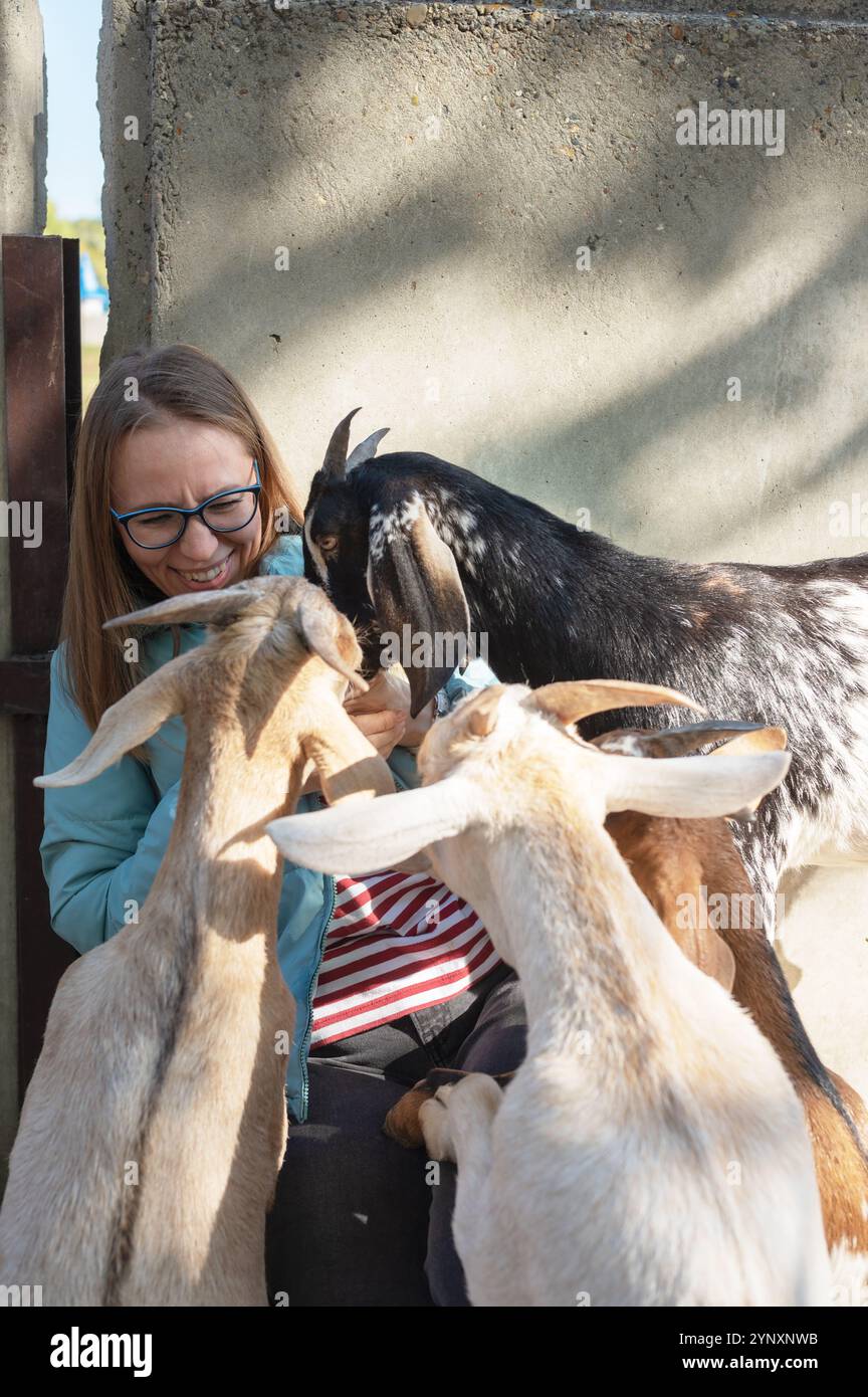 A woman interacts with friendly goats at an animal farm, feeding them ...