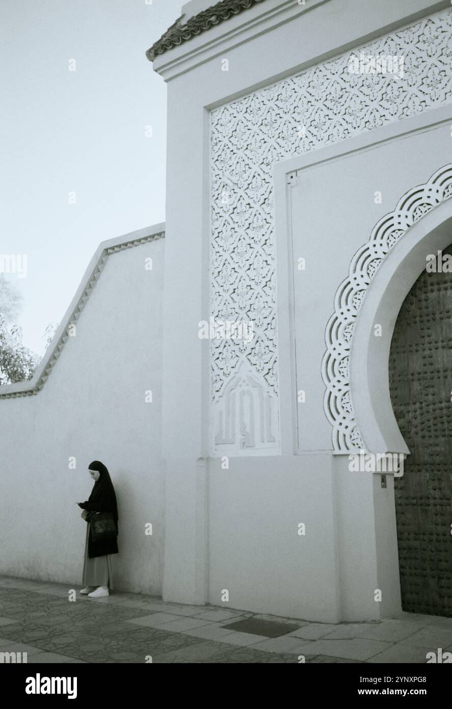 African muslim lady hi-res stock photography and images - Alamy
