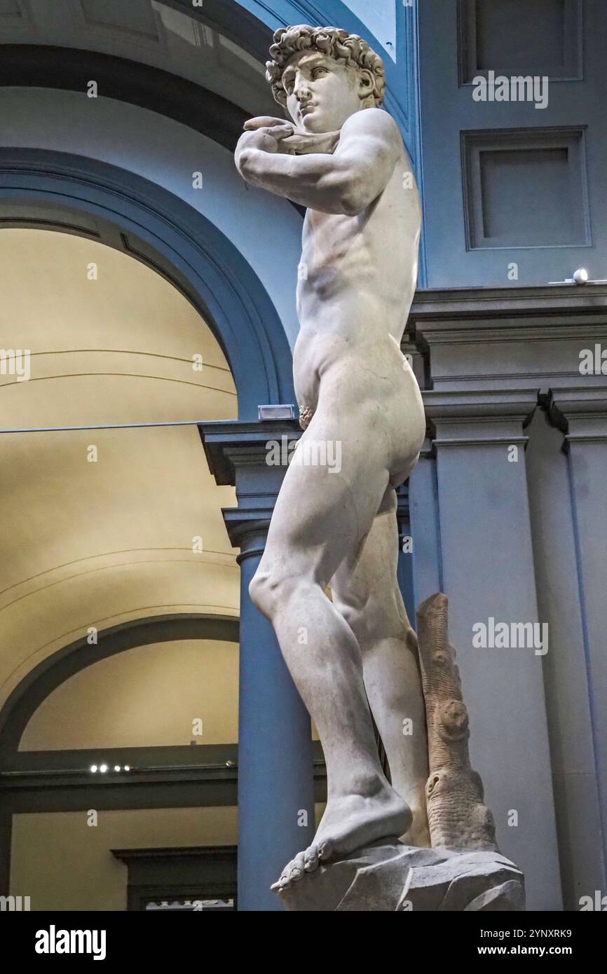 Michelangelo's David, the world's most famous statue on display in the ...