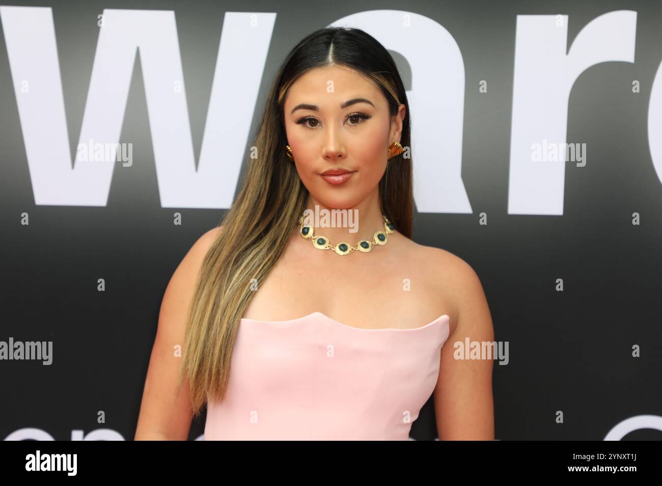 Sydney, Australia. 27th November 2024. Tina Provis attends the TikTok ...