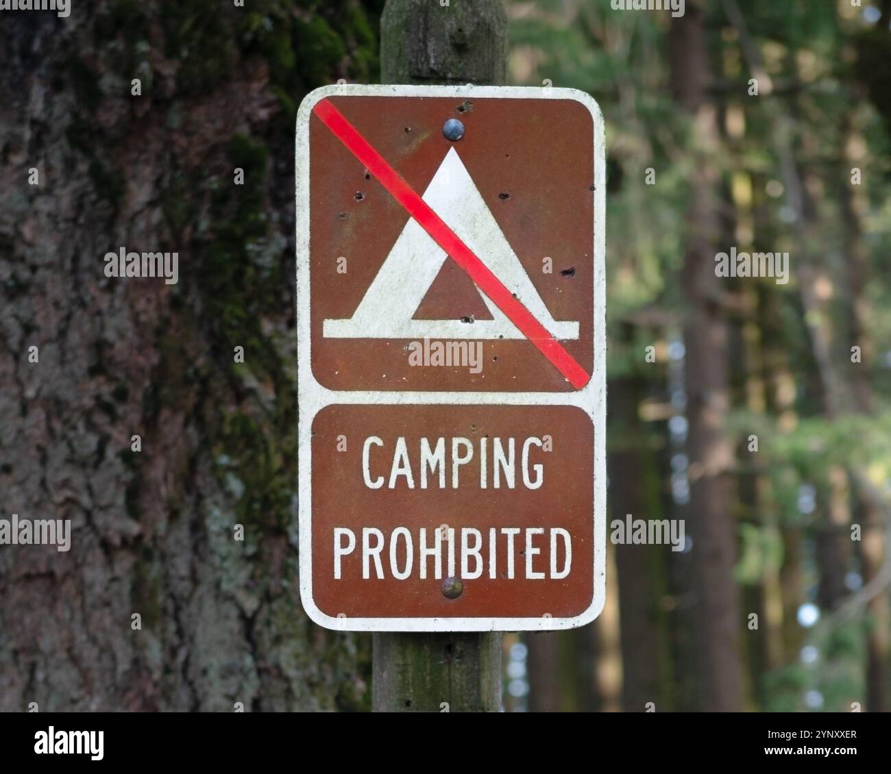 Camping Prohibited sign in a forest landscape, Oregon, USA Stock Photo ...