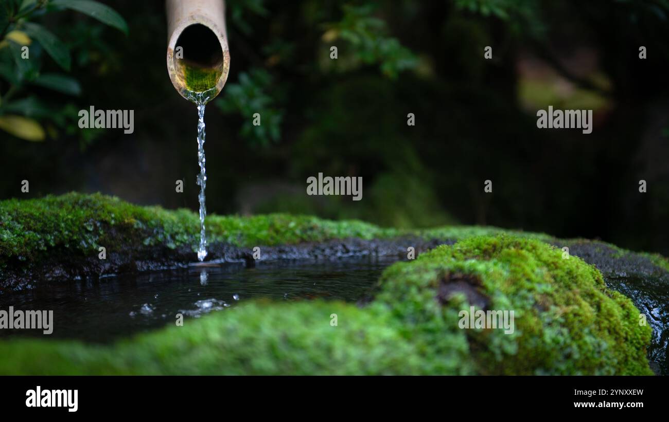 Level pipe bamboo hi-res stock photography and images - Alamy