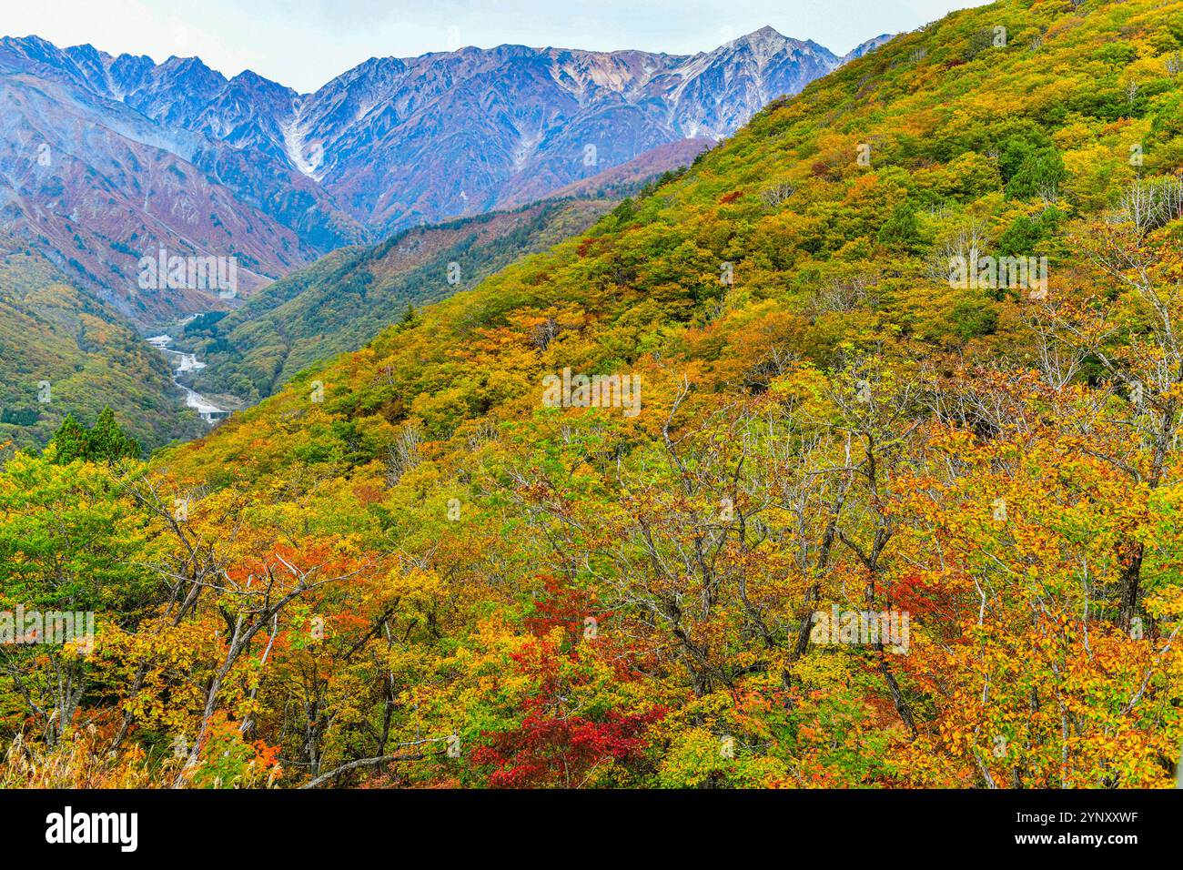 Natural scenery of Mount Hakuba Iwatake from Mountain Resort Hakuba Village in autumn, Nagano ...