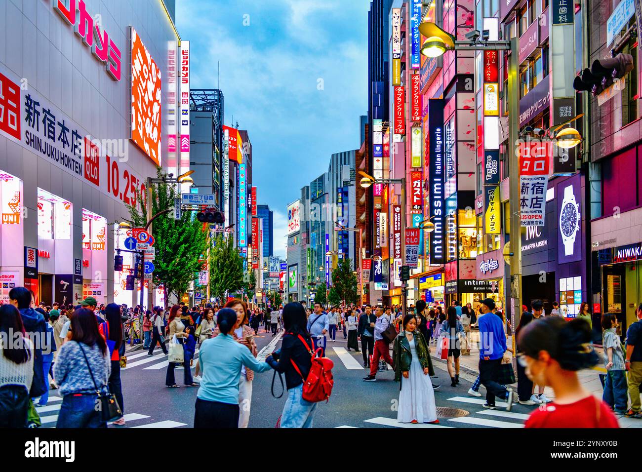Tokyo, Japan - Oct 28, 2024: Shinjuku area full of shopping malls, electrical appliance stores ...
