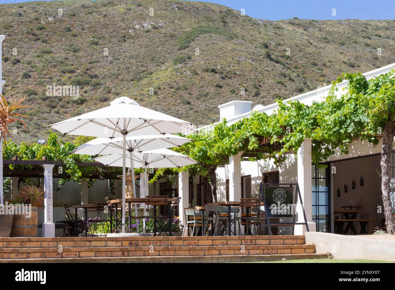 Buyeza brew lounge hi-res stock photography and images - Alamy