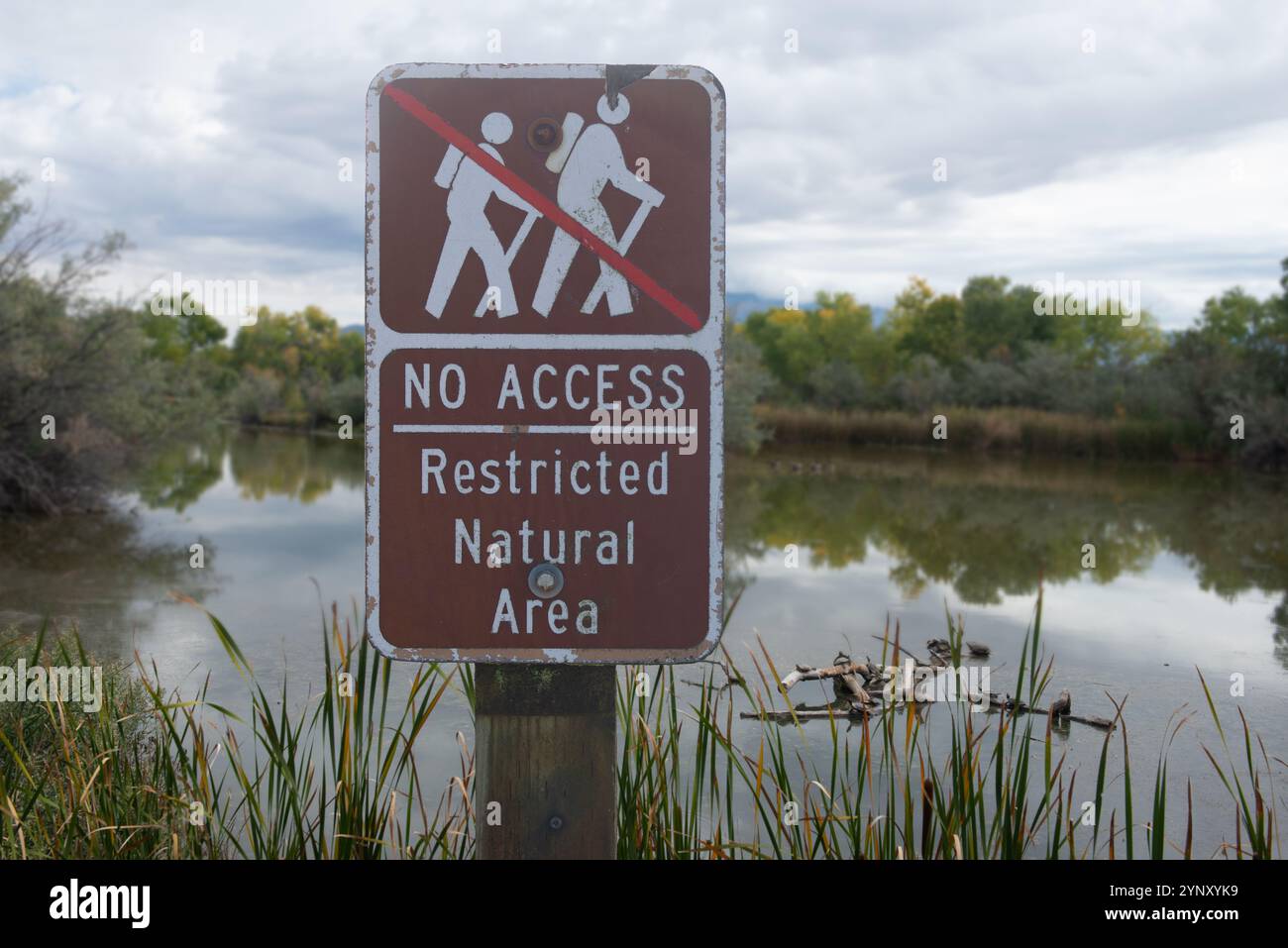 No Access Restricted Natural Area sign at the edge of a river with ...