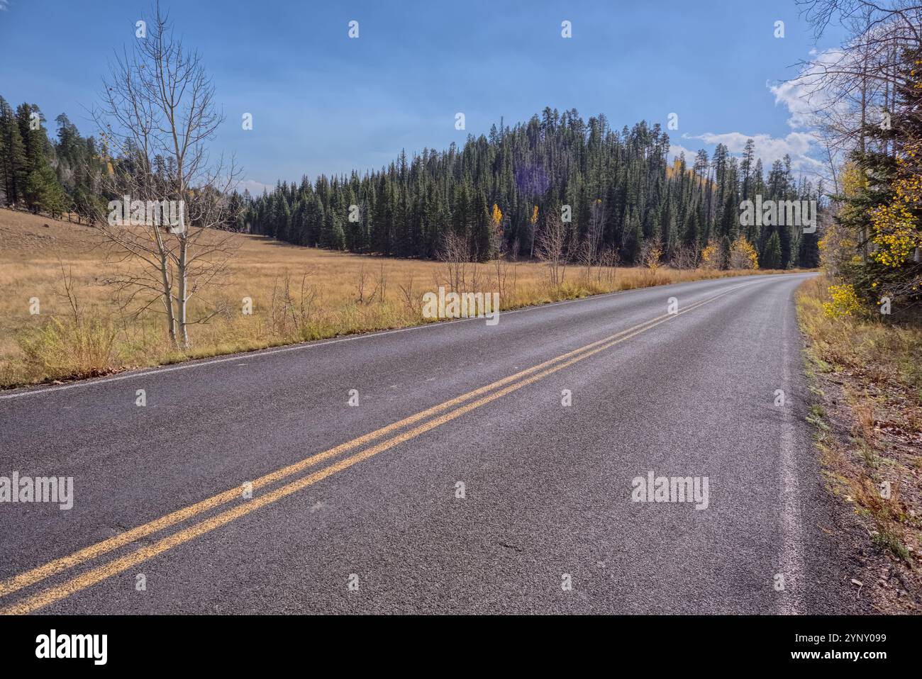 Cape Royal Road in Fuller Canyon, North Rim, Grand Canyon National Park ...