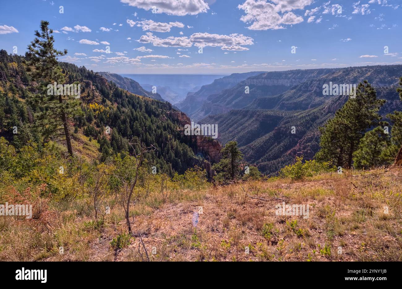 Northern end of Bright Angel Canyon, North Rim, Grand Canyon National ...