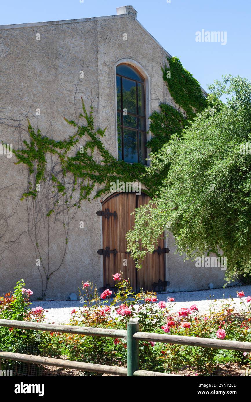 Wine cellar at Springfield Wine Estate with summer roses, Route 62 ...