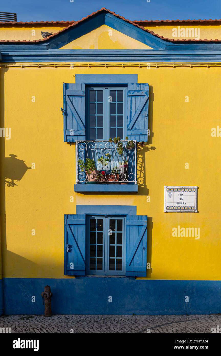 Plants structure highlight hi-res stock photography and images - Alamy