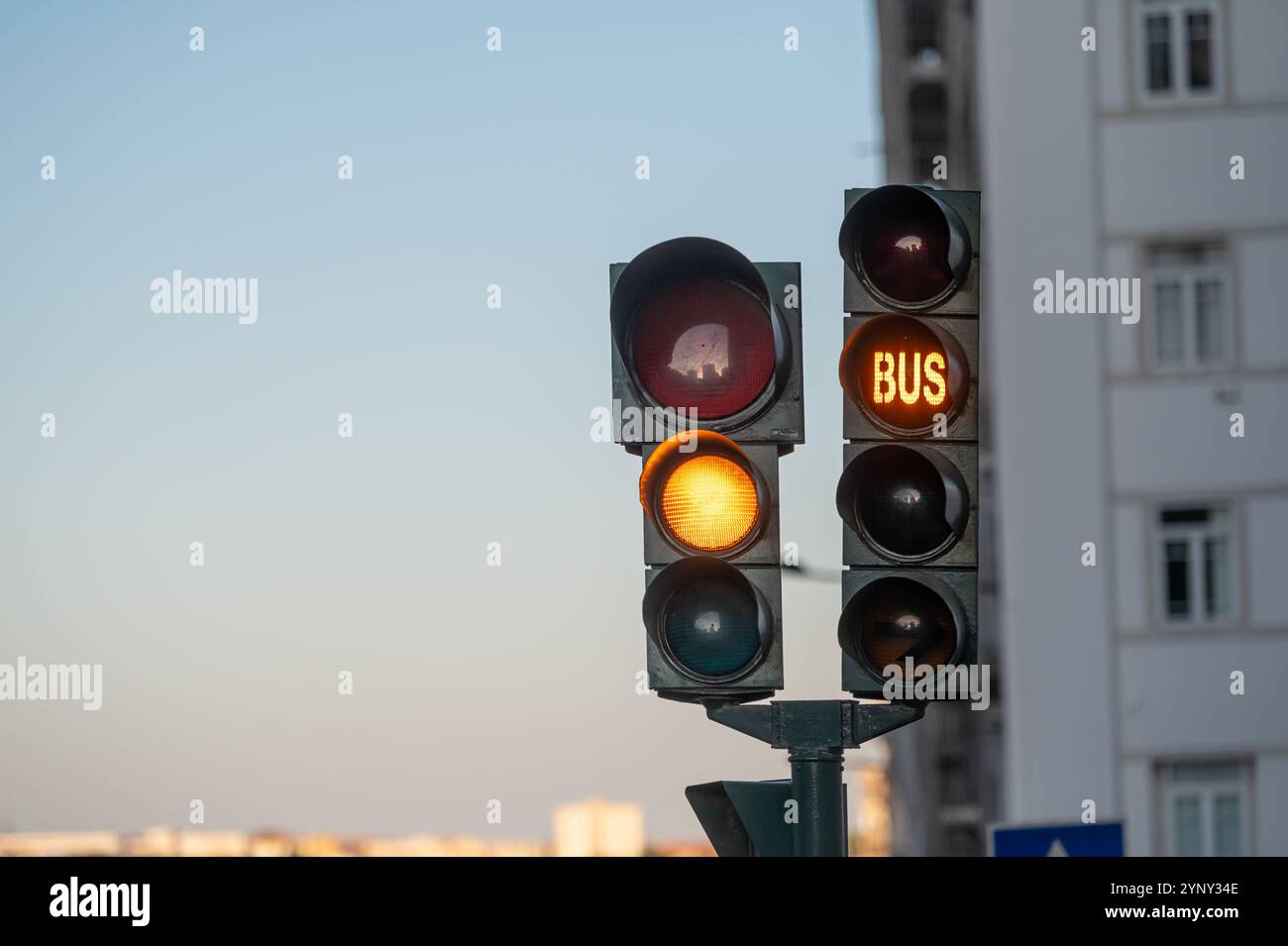 Traffic lights displaying signals for vehicles and buses in an urban ...