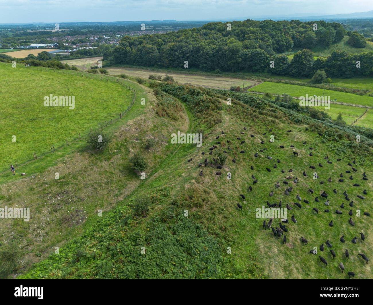 Old oswestry hi-res stock photography and images - Alamy